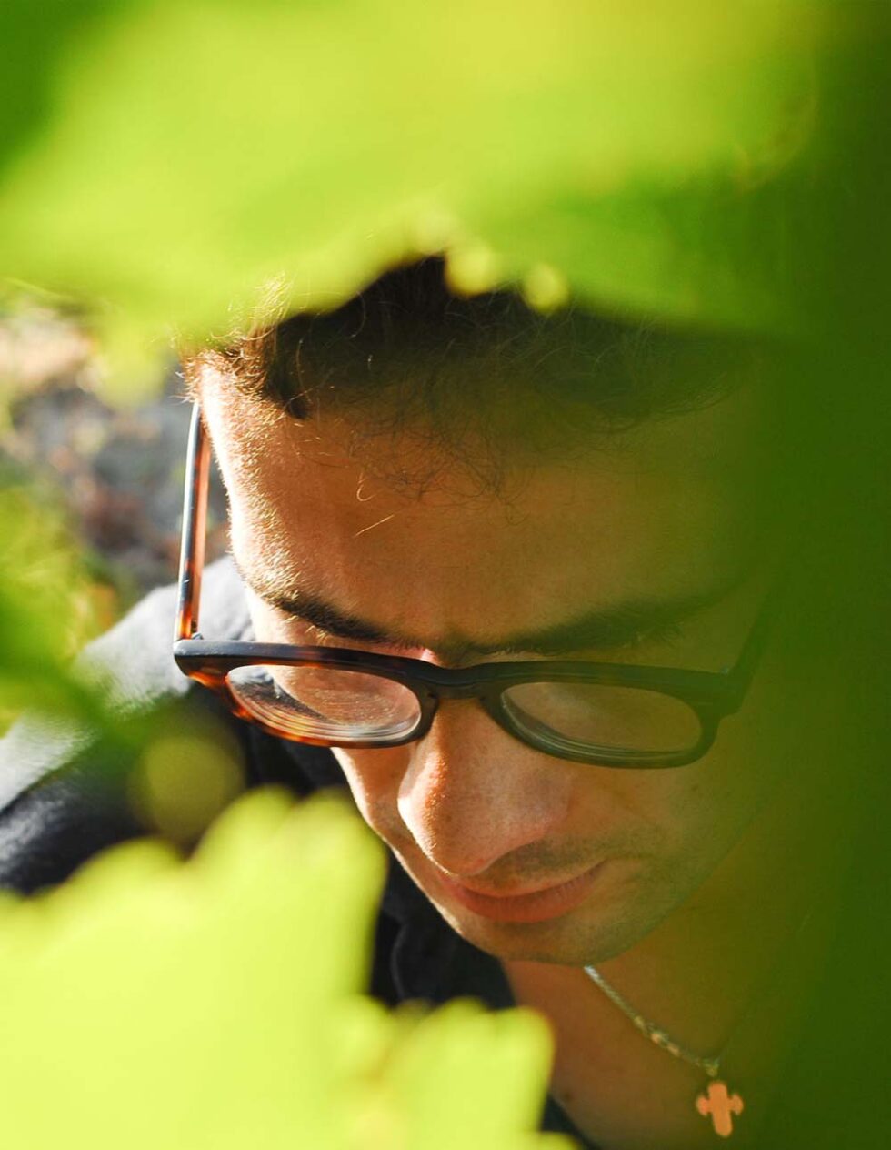 KITRVS | Vineyard Winery